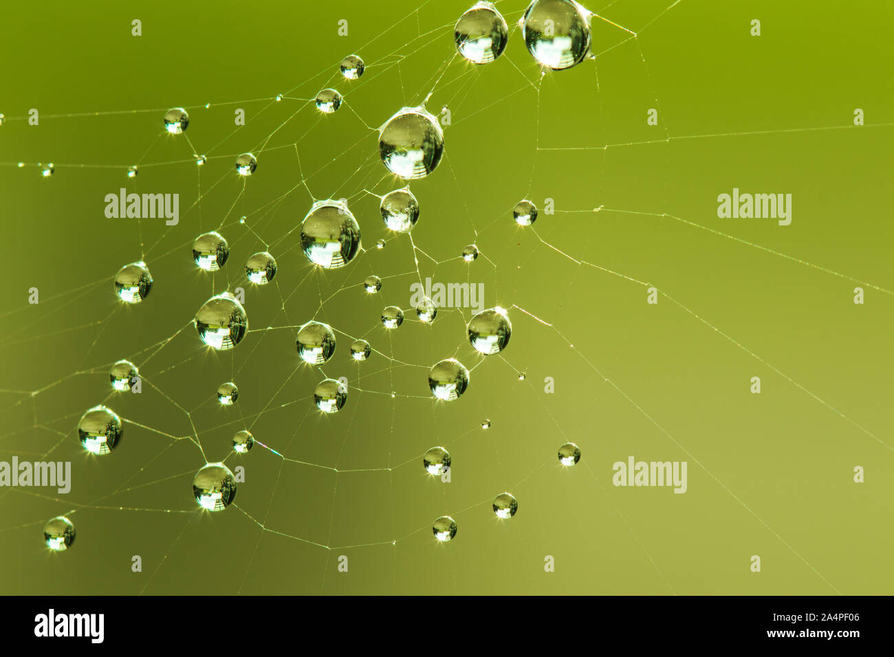 Dropplets hi-res stock photography and images - Alamy