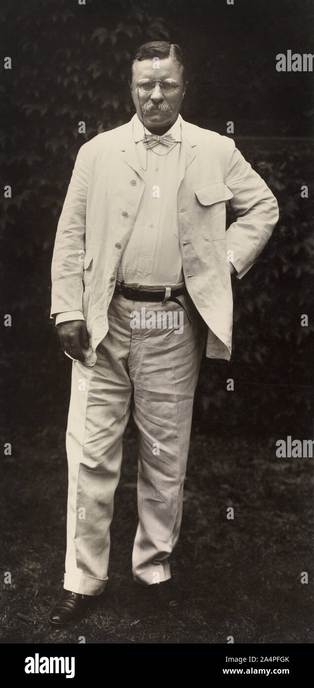 Theodore Roosevelt (1858-1919), 26th President of the United States ...