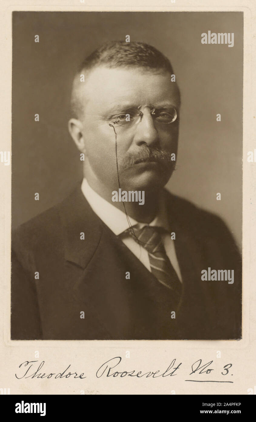 Theodore Roosevelt (1858-1919), 26th President of the United States ...