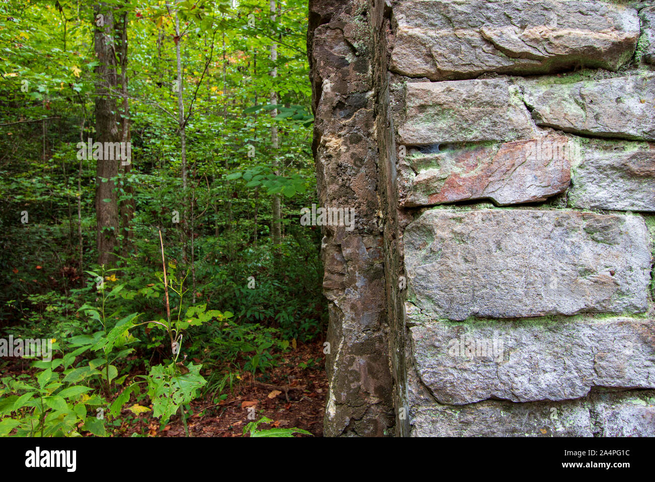 Old stone wall and forest close up Stock Photo - Alamy