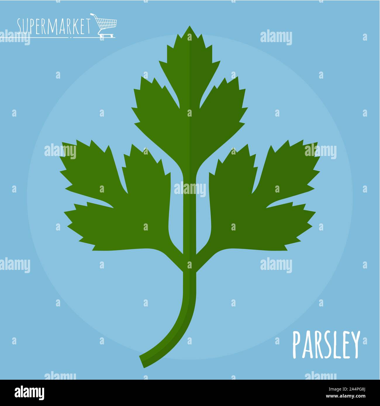 Parsley seed Stock Vector Images - Alamy