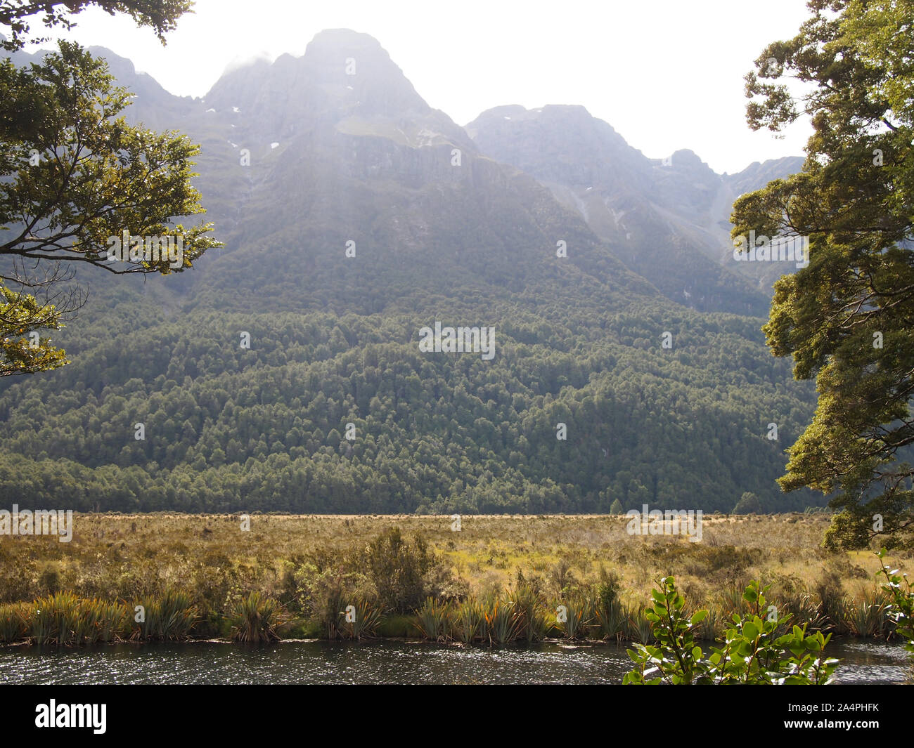 Pristine mountain and temperate rainforest habitats in Fiordland ...