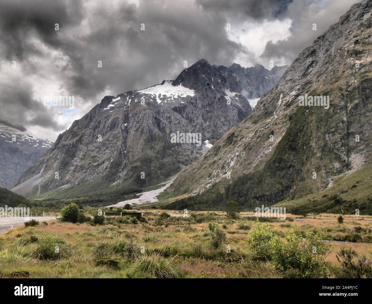 Pristine mountain and temperate rainforest habitats in Fiordland ...