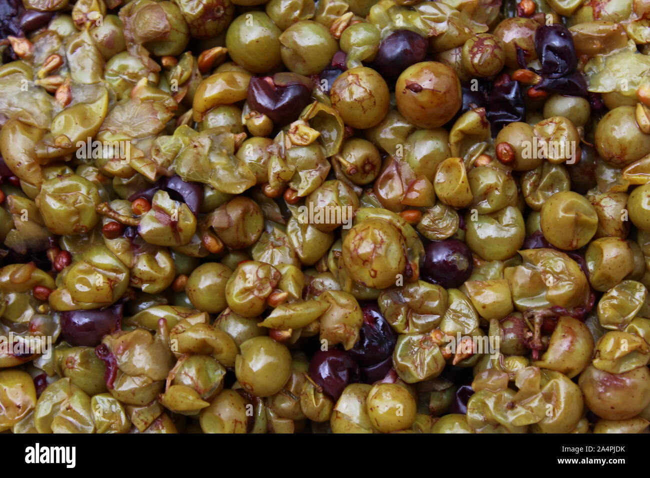 The picture shows fresh grape marc Stock Photo - Alamy