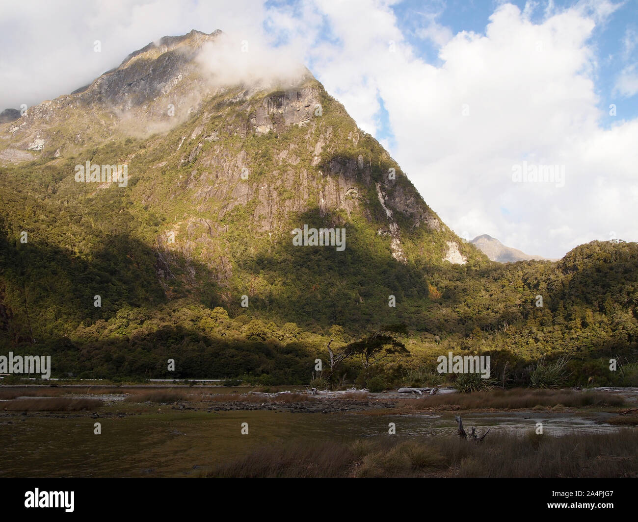 Pristine mountain and temperate rainforest habitats in Fiordland ...