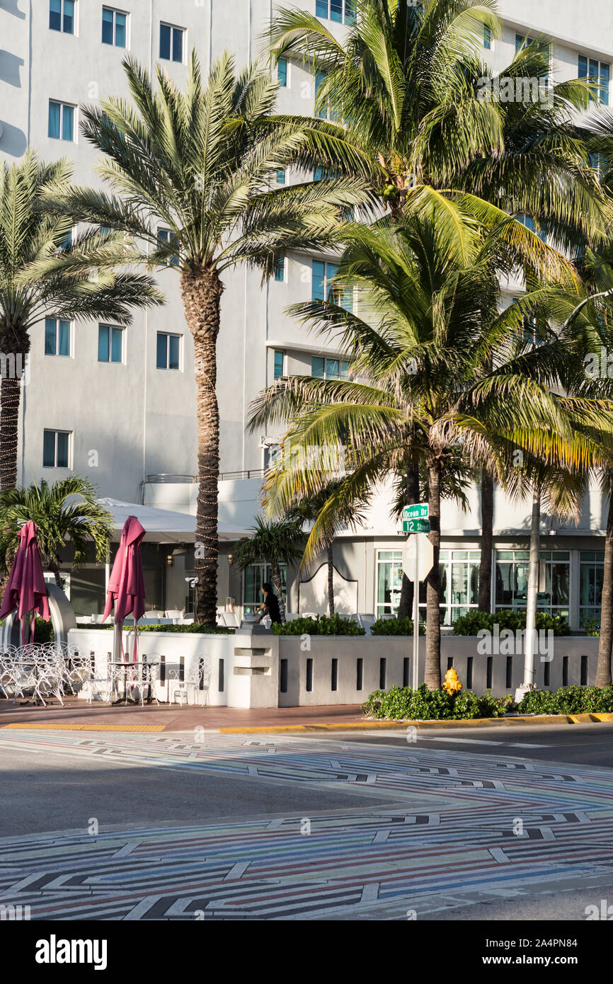 Palm trees and colorful pattern on the cross walk on Ocean Drive in ...