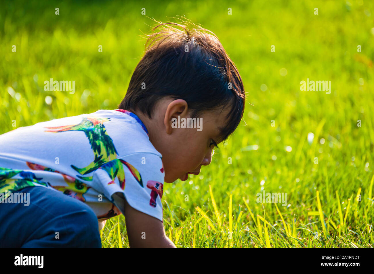 Cute Mexican American children are playing and enjoying bubbles in a ...