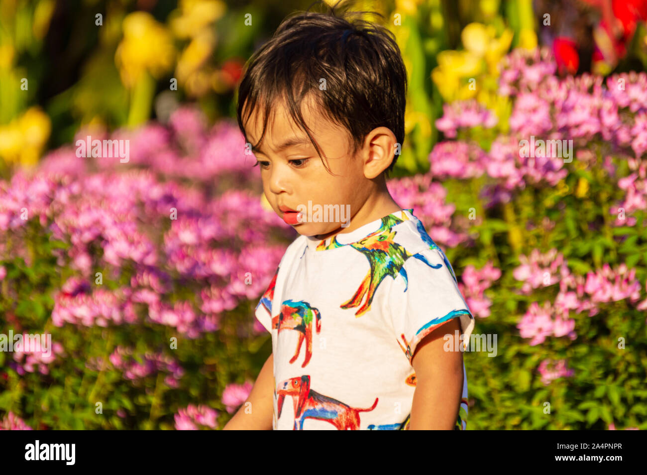 Cute Mexican American children are playing and enjoying bubbles in a ...
