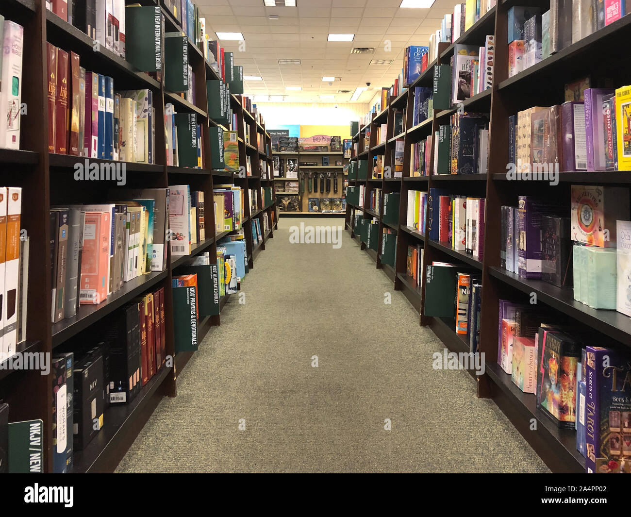 Rows of different colorful books lying on the shelves in the modern ...