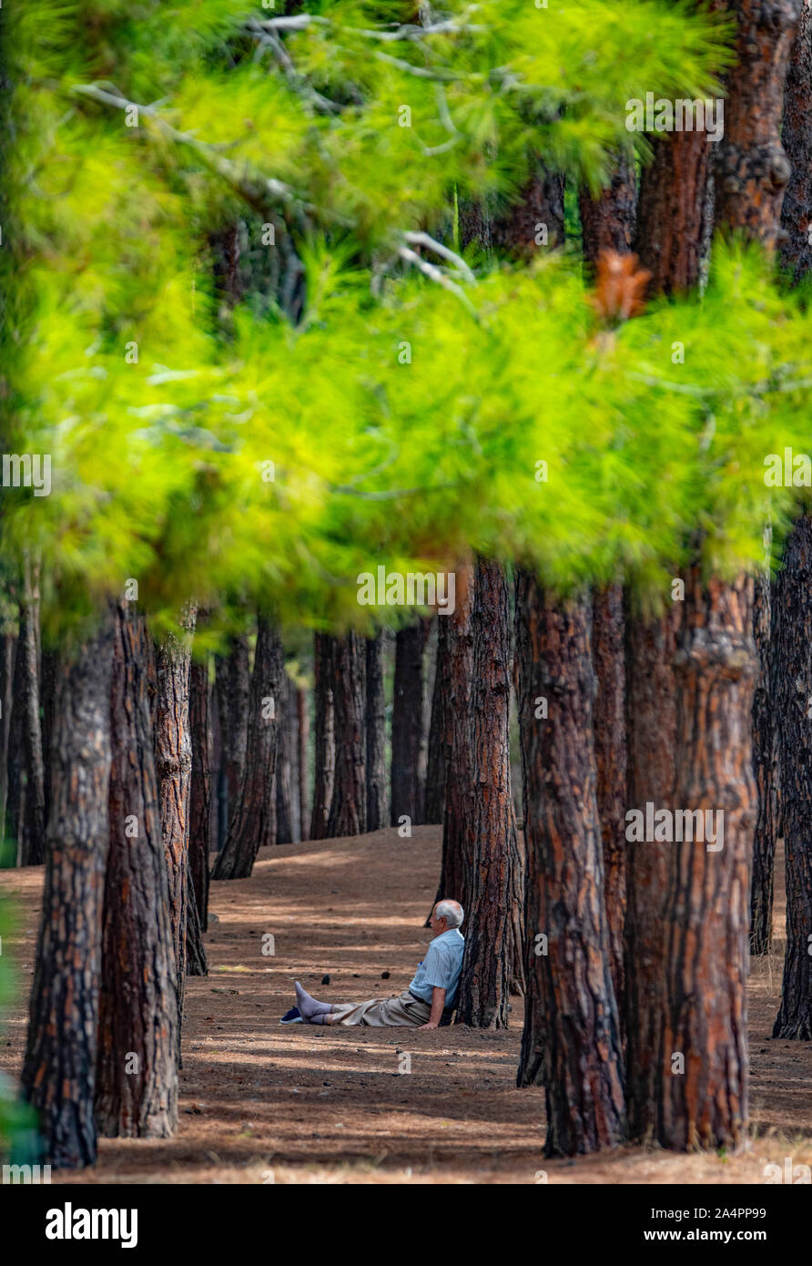 Florya ataturk ormani hi-res stock photography and images - Alamy