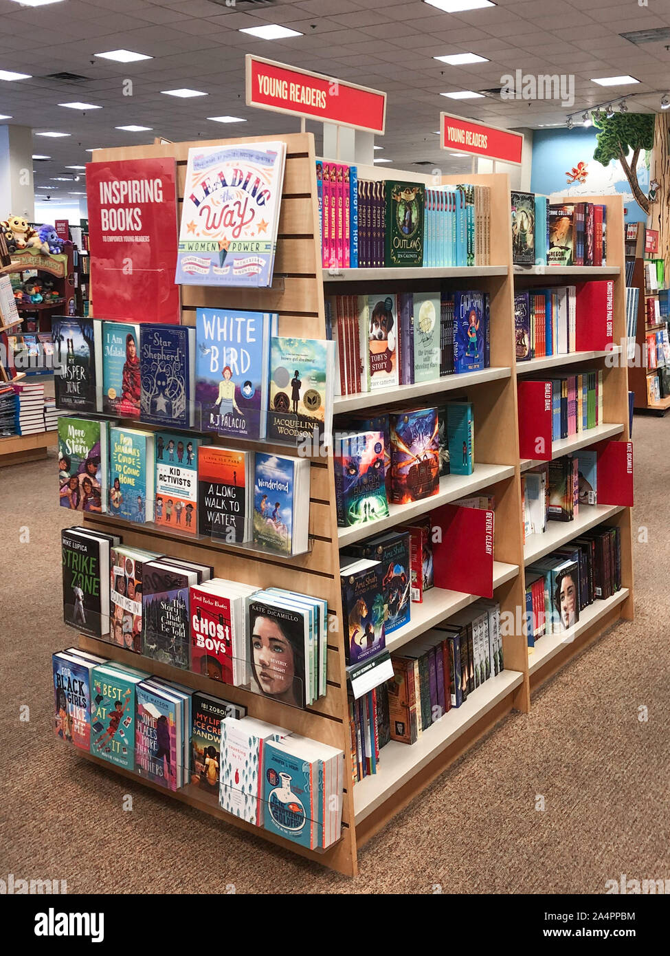 Rows of different colorful books lying on the shelves in the modern ...
