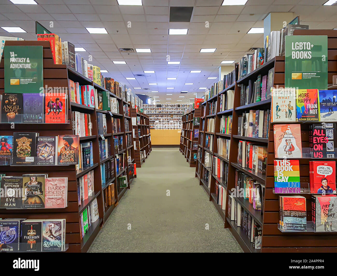 Rows of different colorful books lying on the shelves in the modern ...