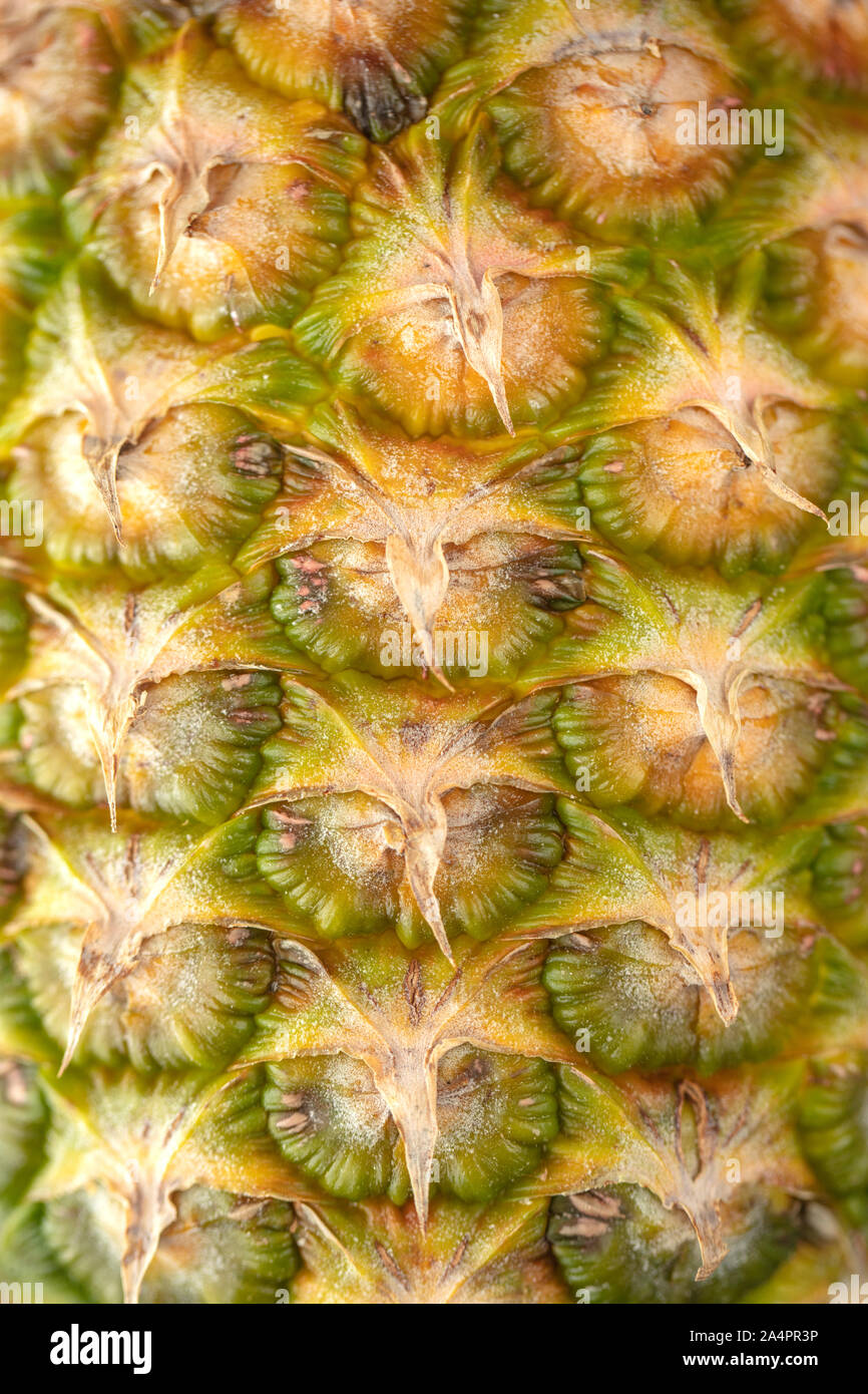 Raw Pineapple textured skin close up and backgrond Stock Photo - Alamy