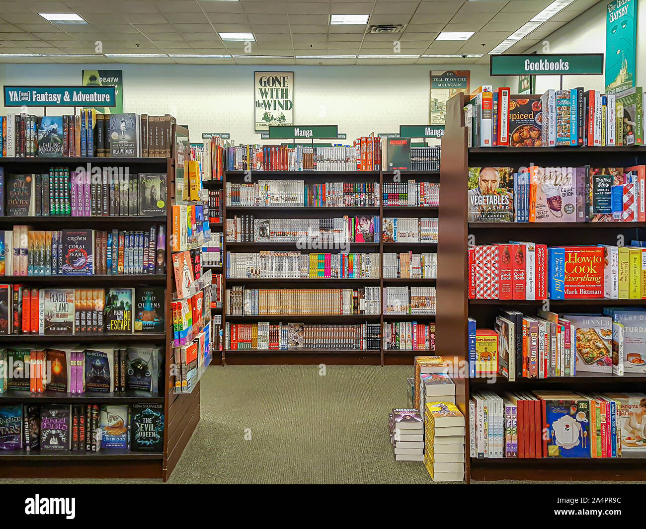 Rows of different colorful books lying on the shelves in the modern ...