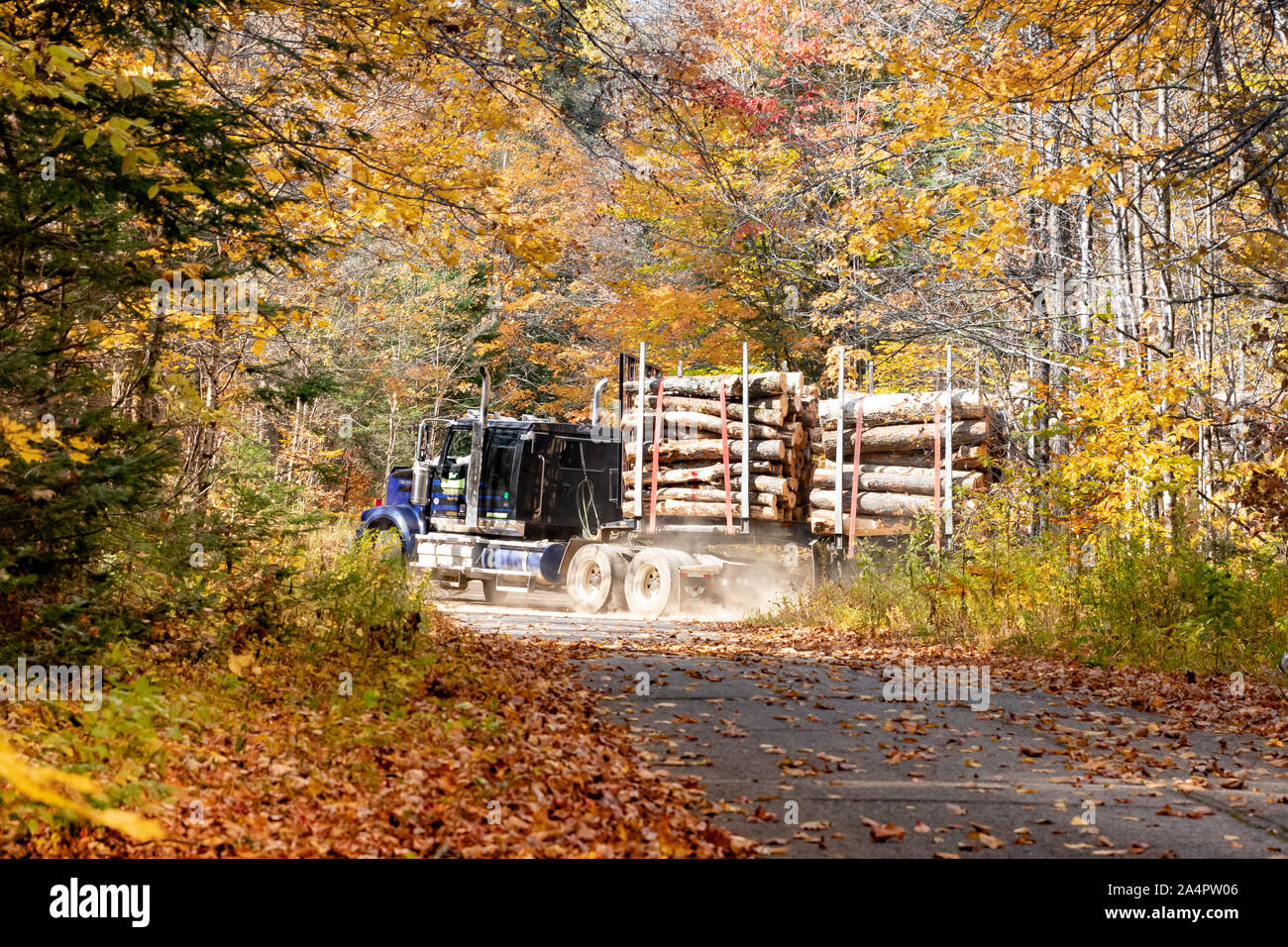 Logging truck on road hi-res stock photography and images - Alamy