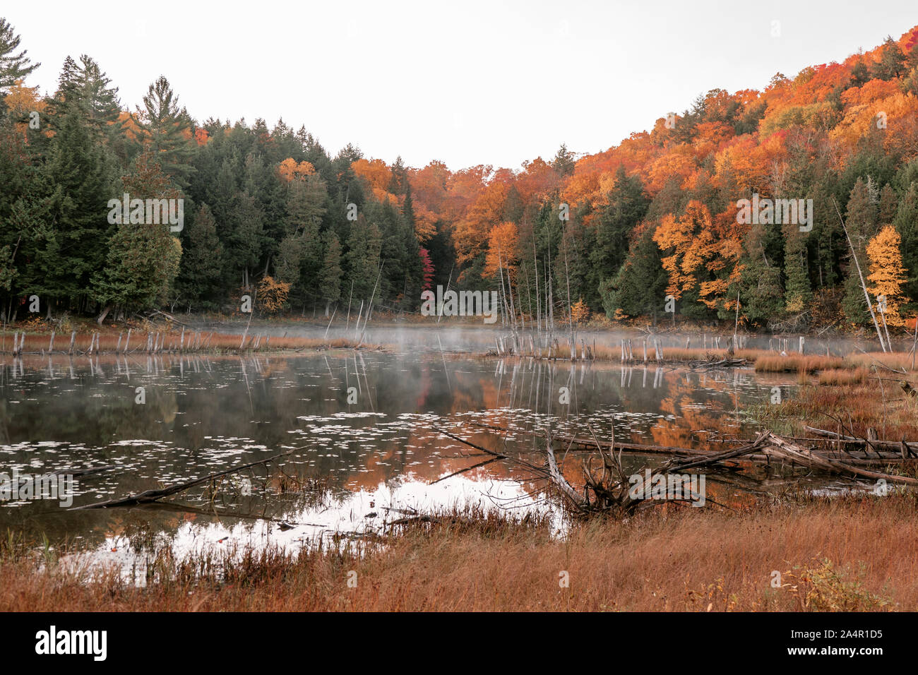 Laurentides quebec hi-res stock photography and images - Alamy