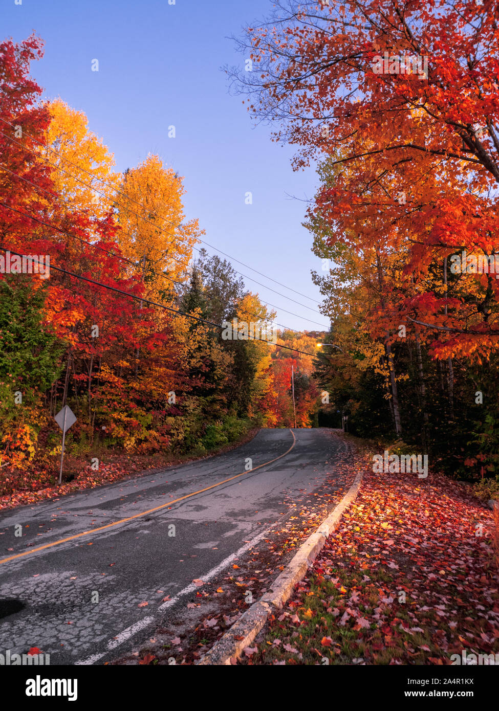 Colorful Road, Autumn in Canada Stock Photo - Alamy
