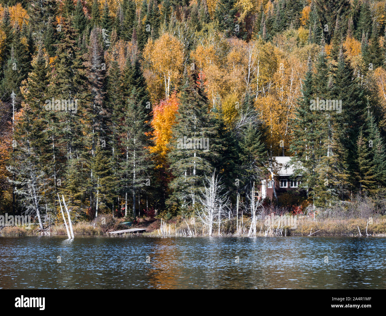 The clam shack hi-res stock photography and images - Alamy