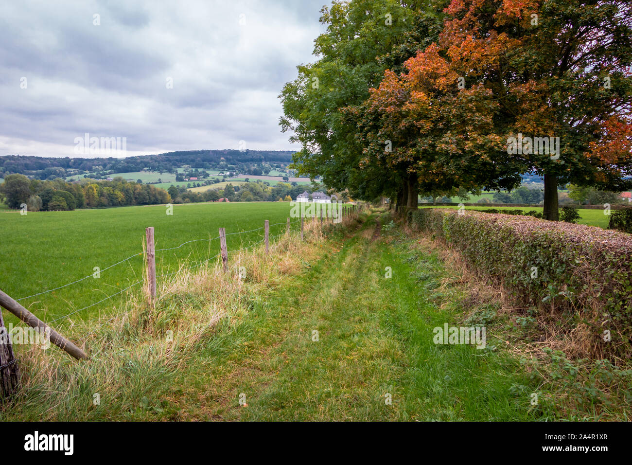 Beautiful hilly landscape in the north of belgium nearby gemmenich and ...