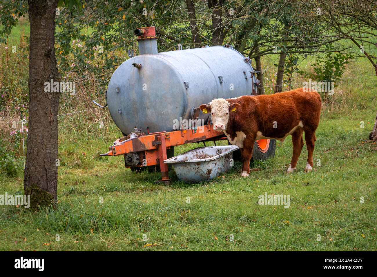 Slurry tank hi-res stock photography and images - Alamy