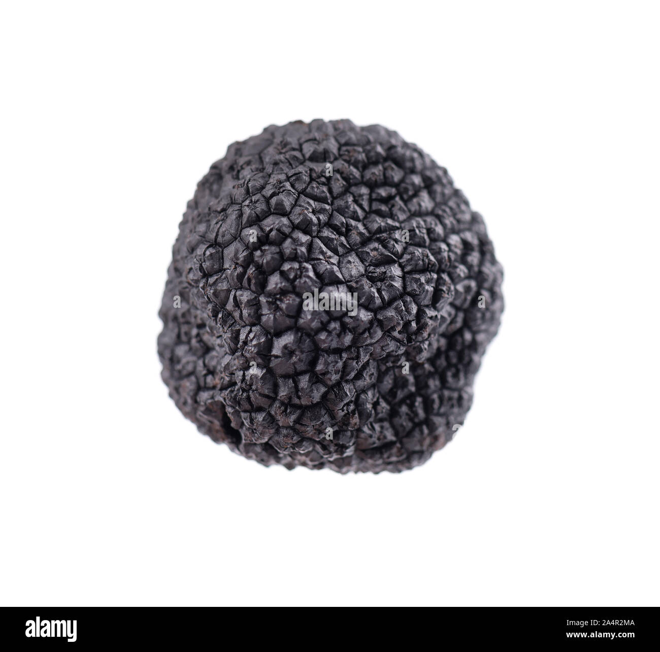 Black truffles isolated on a white background. Delicacy exclusive ...