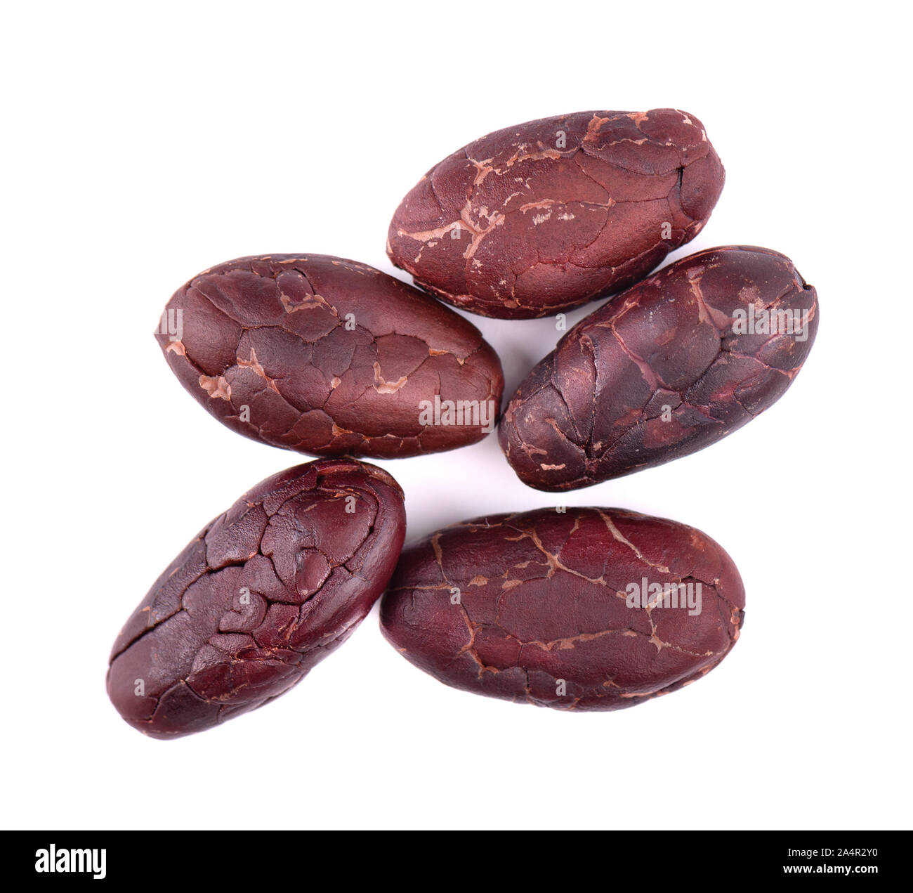 Peeled cacao beans, isolated on white background. Roasted and aromatic ...