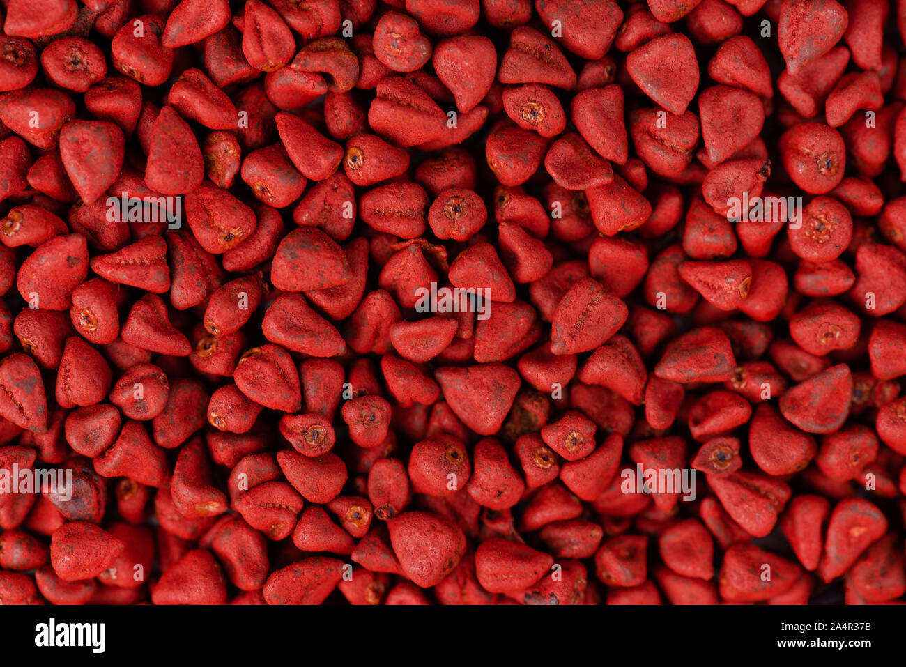 Achiote tree hi-res stock photography and images - Alamy