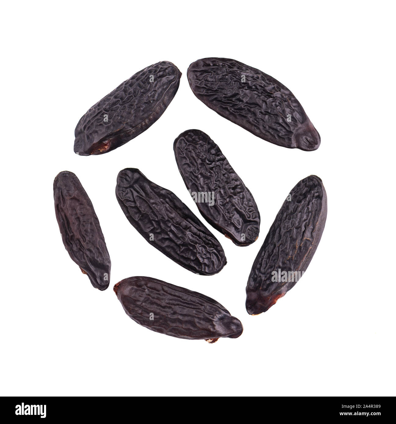 Tonka beans isolated on white background. Bean of Dipteryx odorata ...