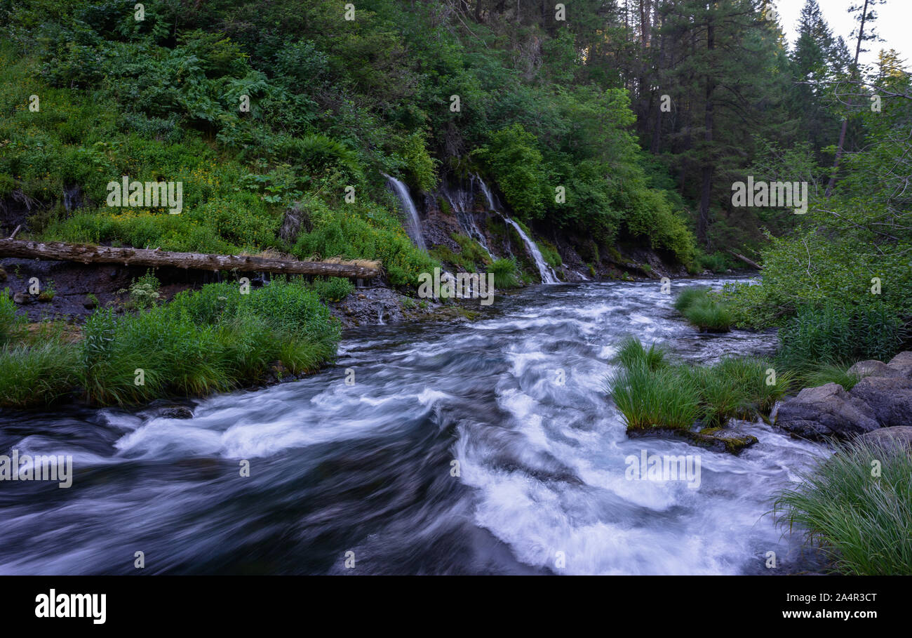 McArthur-Burney Falls Memorial State Park Stock Photo - Alamy