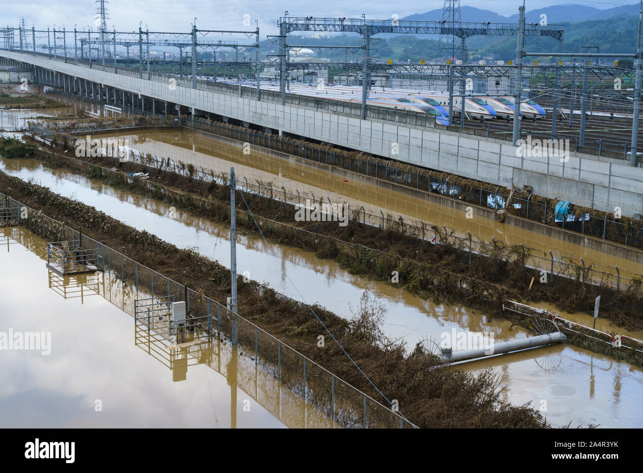 The Chikuma River overflows due to Typhoon Hagibis in Nagano Prefecture ...