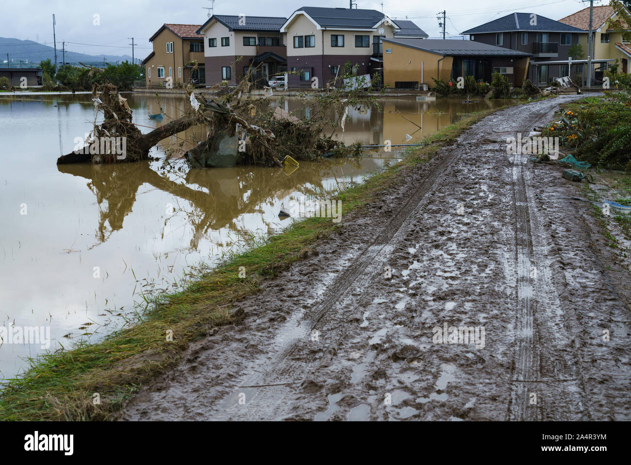The Chikuma River overflows due to Typhoon Hagibis in Nagano Prefecture ...