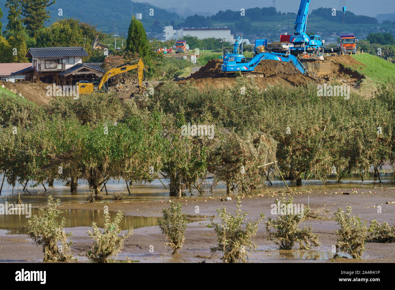 The Chikuma River overflows due to Typhoon Hagibis in Nagano Prefecture ...