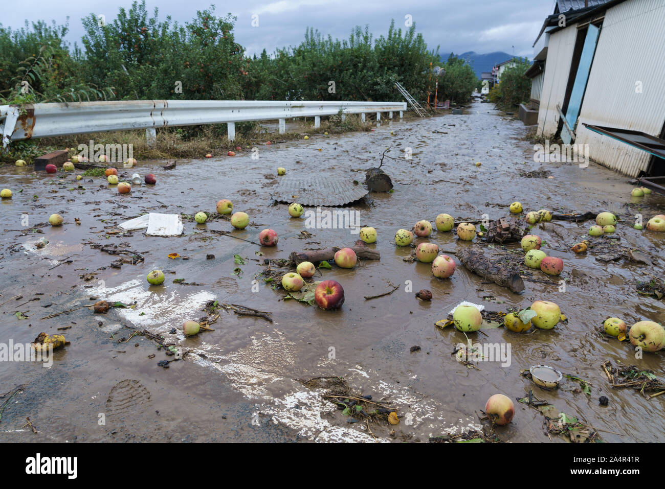 The Chikuma River overflows due to Typhoon Hagibis in Nagano Prefecture ...