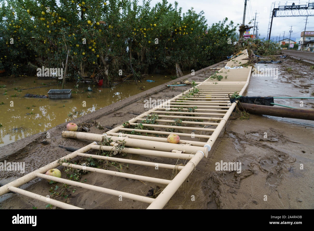 The Chikuma River overflows due to Typhoon Hagibis in Nagano Prefecture ...