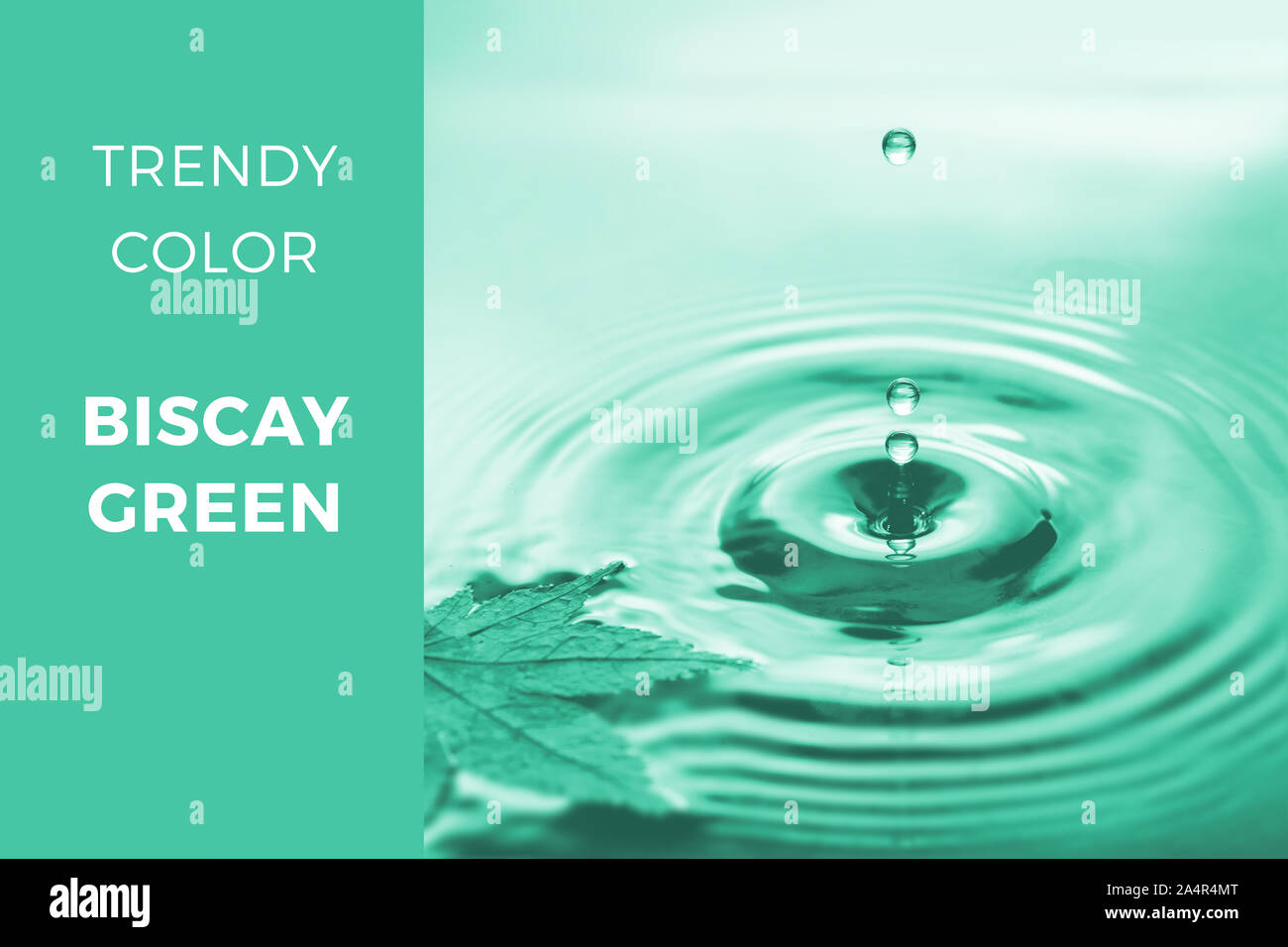 Biscay green - trendy color for 2020, toned close-up Autumn image of ...