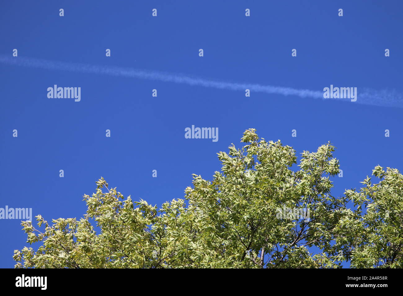 Bright blue sky with jet stream Stock Photo - Alamy