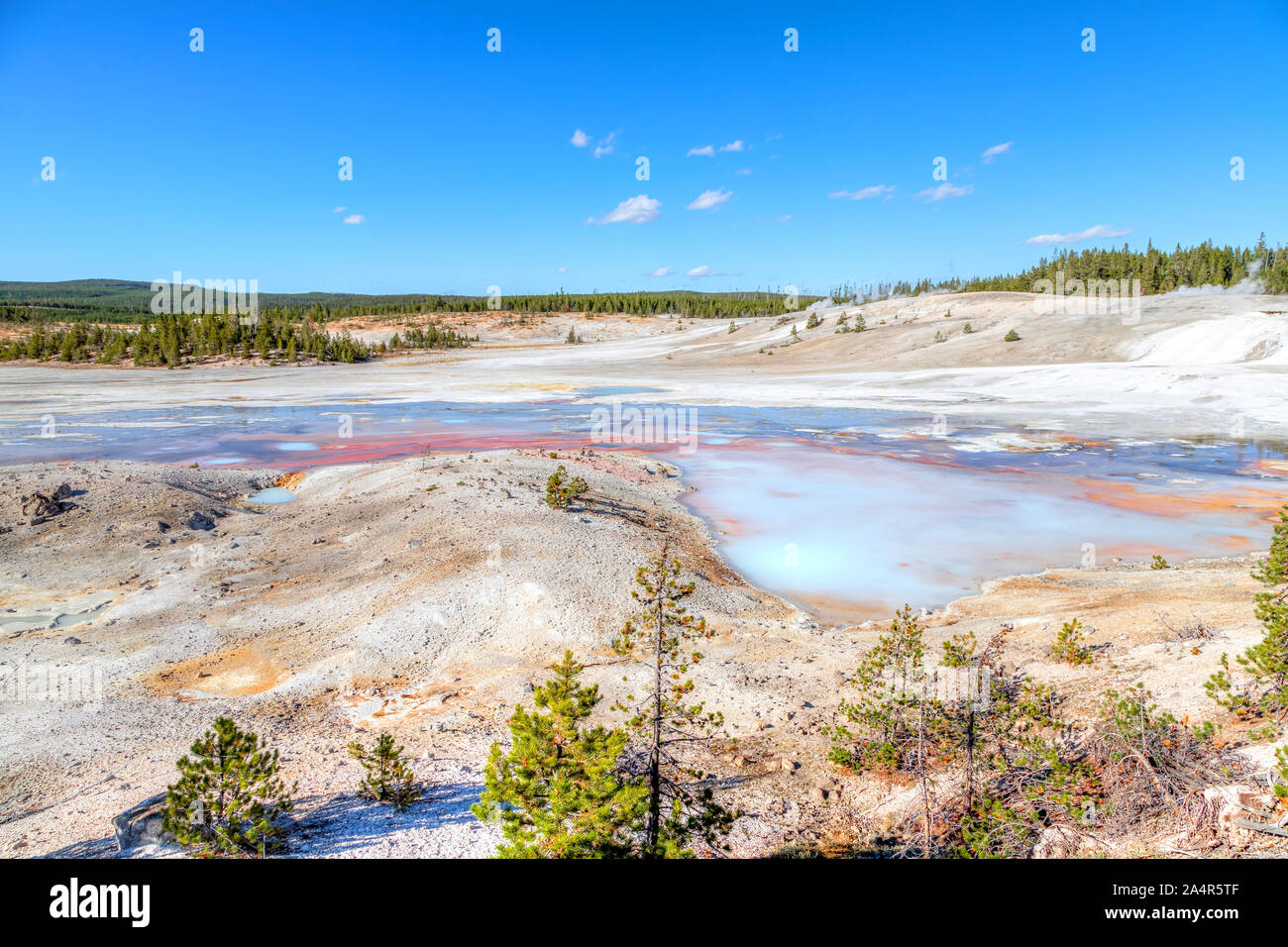 Geothermal pools at Porcelain Basin Trail inside Norris Geyser Basin of ...