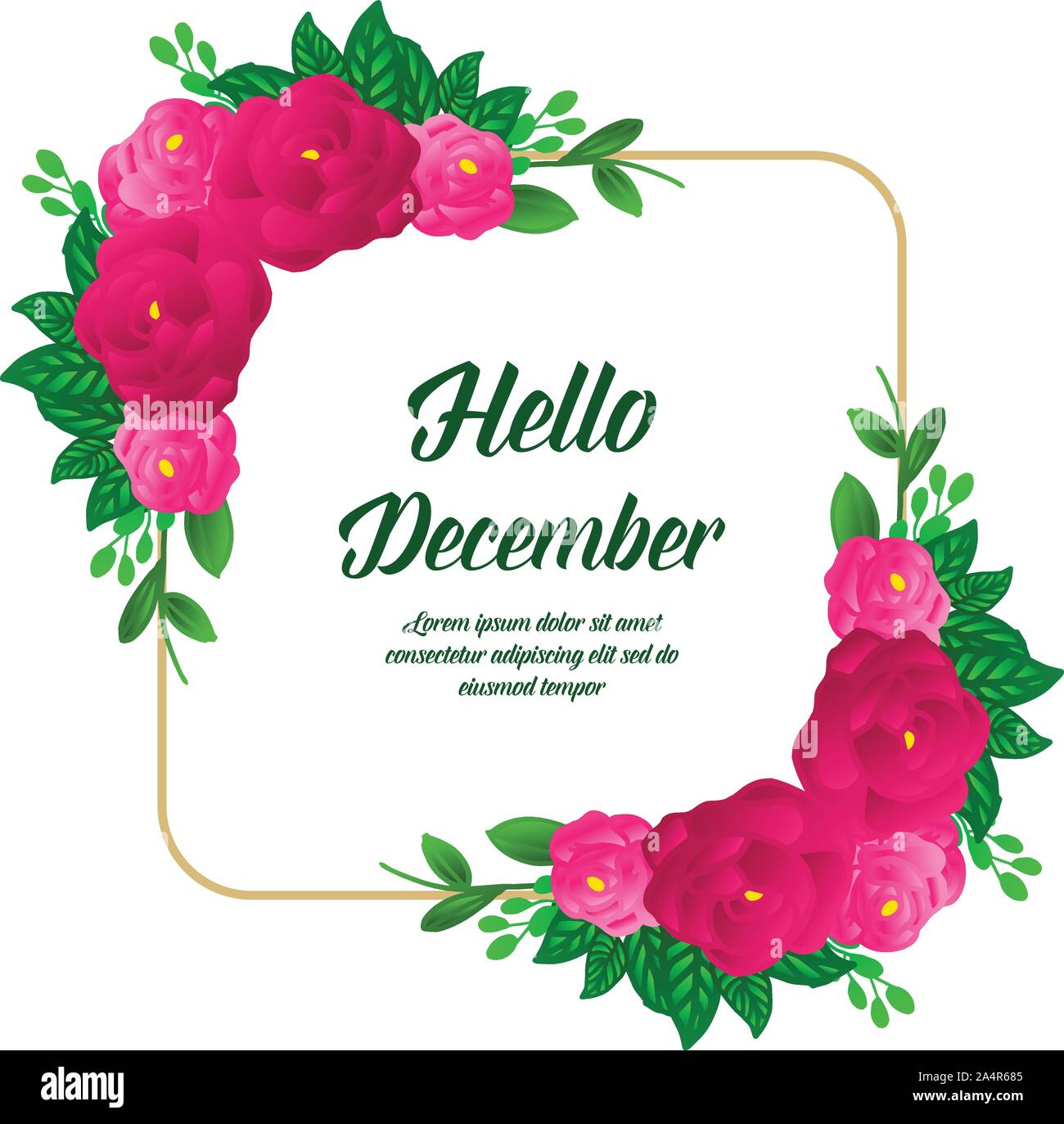 Design lettering hello december, with nature pink rose flower frame ...