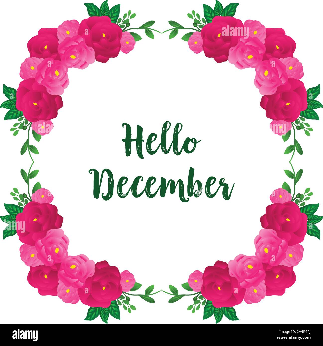 Greeting card text of hello december, with sketch pink rose flower ...