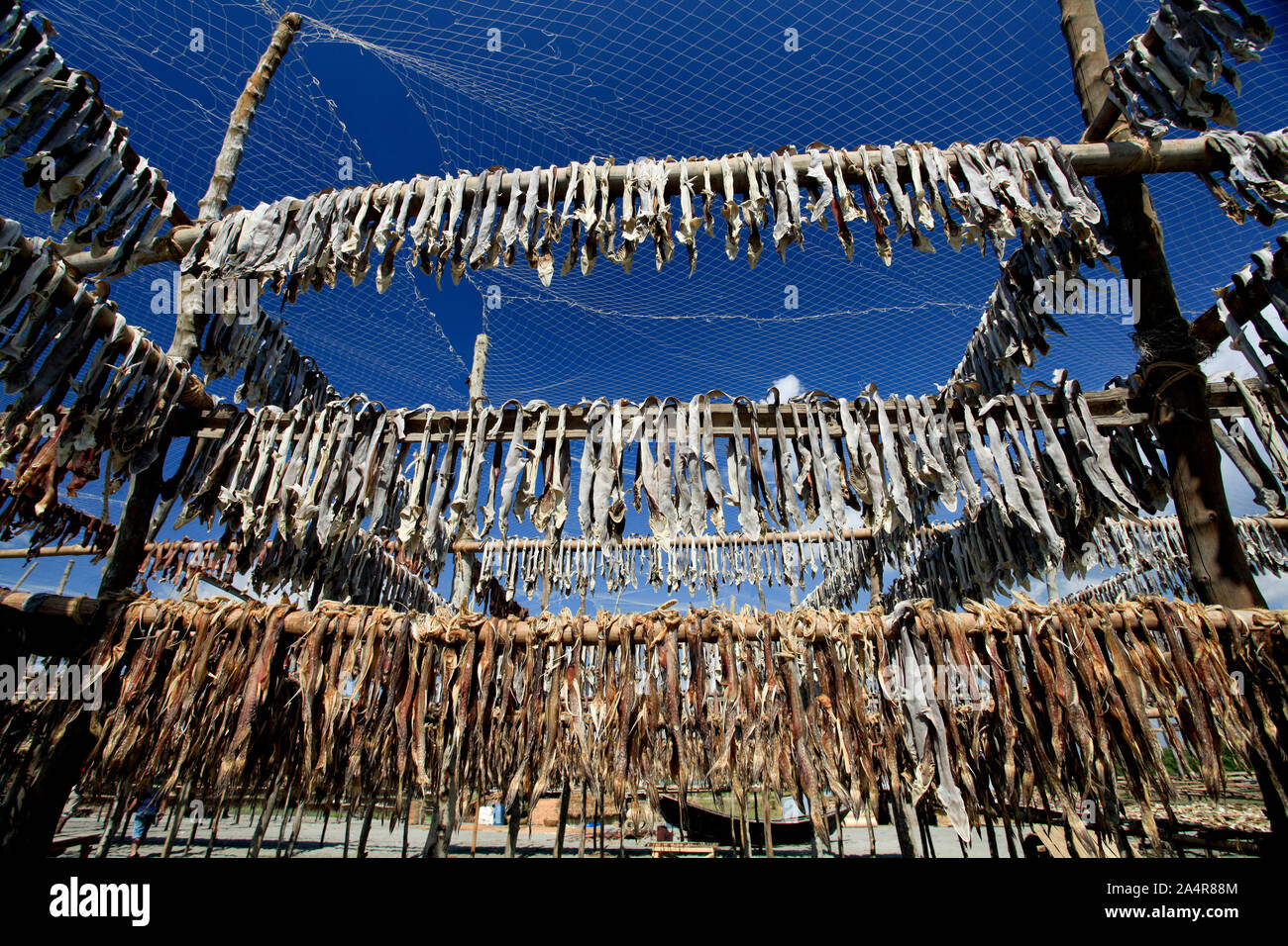 Shutki hi-res stock photography and images - Alamy