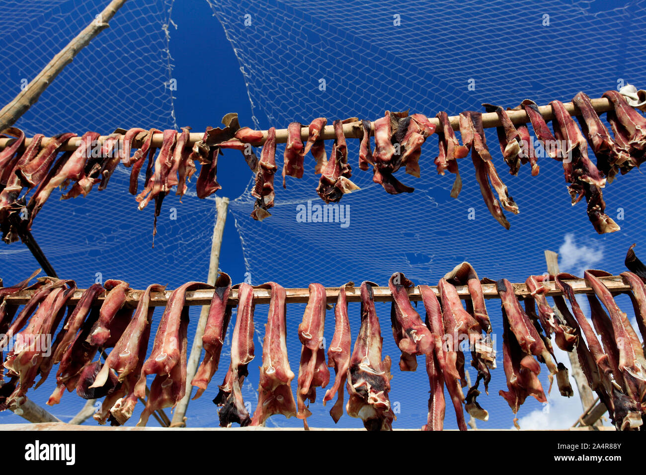 Shutki fish hi-res stock photography and images - Alamy