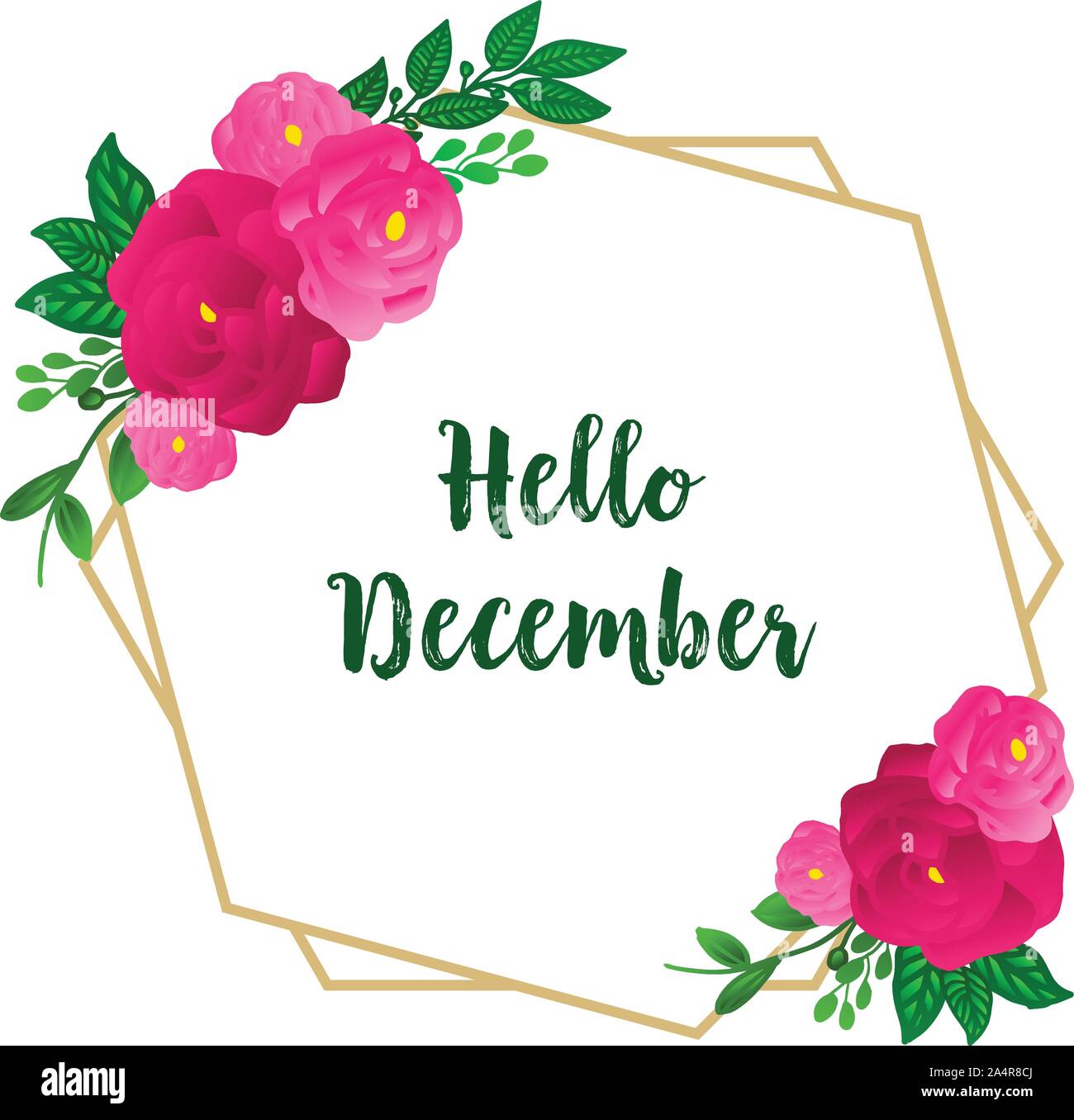 Design for banner hello december, with plant of pink rose flower frame ...