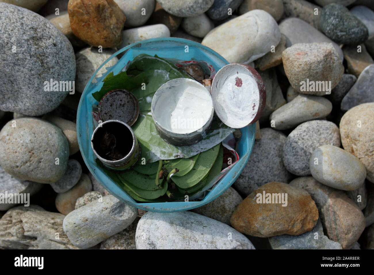 Betel nut quid hi-res stock photography and images - Alamy