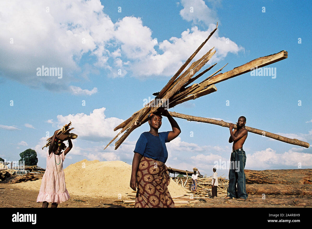 Zambia, Kitwe. Women carrying cut wood. The informal sector represents ...
