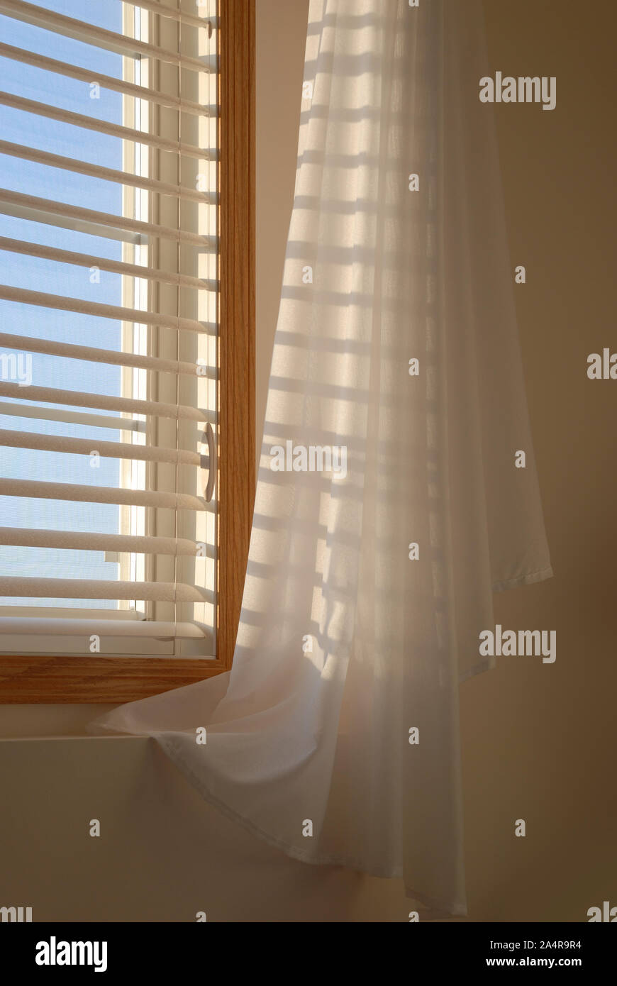 Wood blinds sun hi-res stock photography and images - Alamy