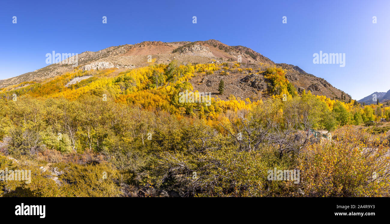 Fall Colors Bishop California Stock Photo - Alamy