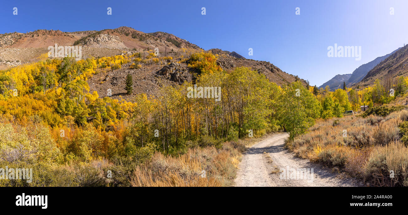 Fall Colors Bishop California Stock Photo - Alamy