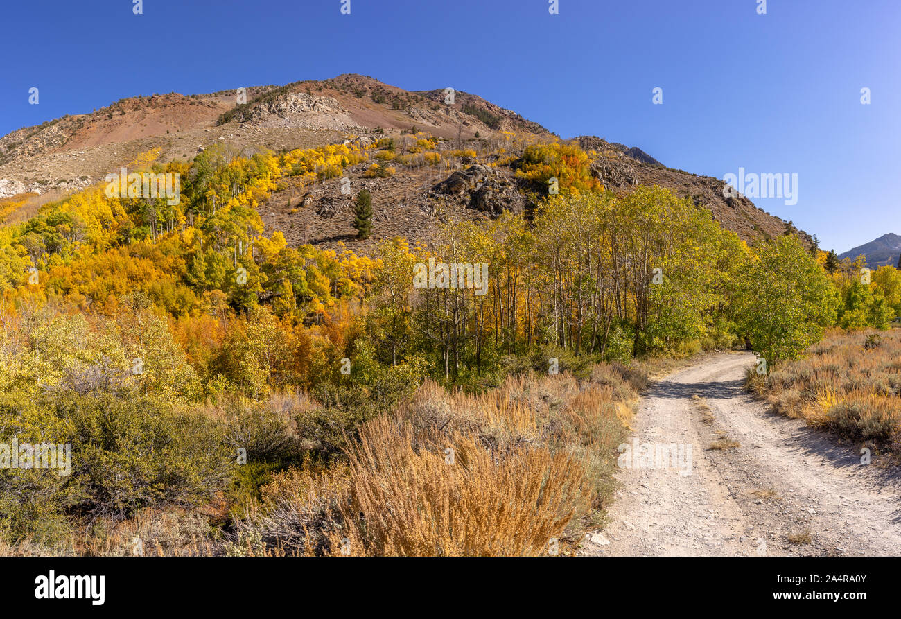 Fall Colors Bishop California Stock Photo - Alamy