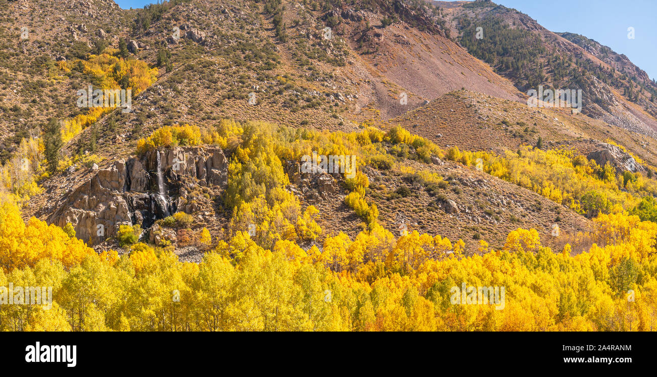 Fall Colors Bishop California Stock Photo - Alamy