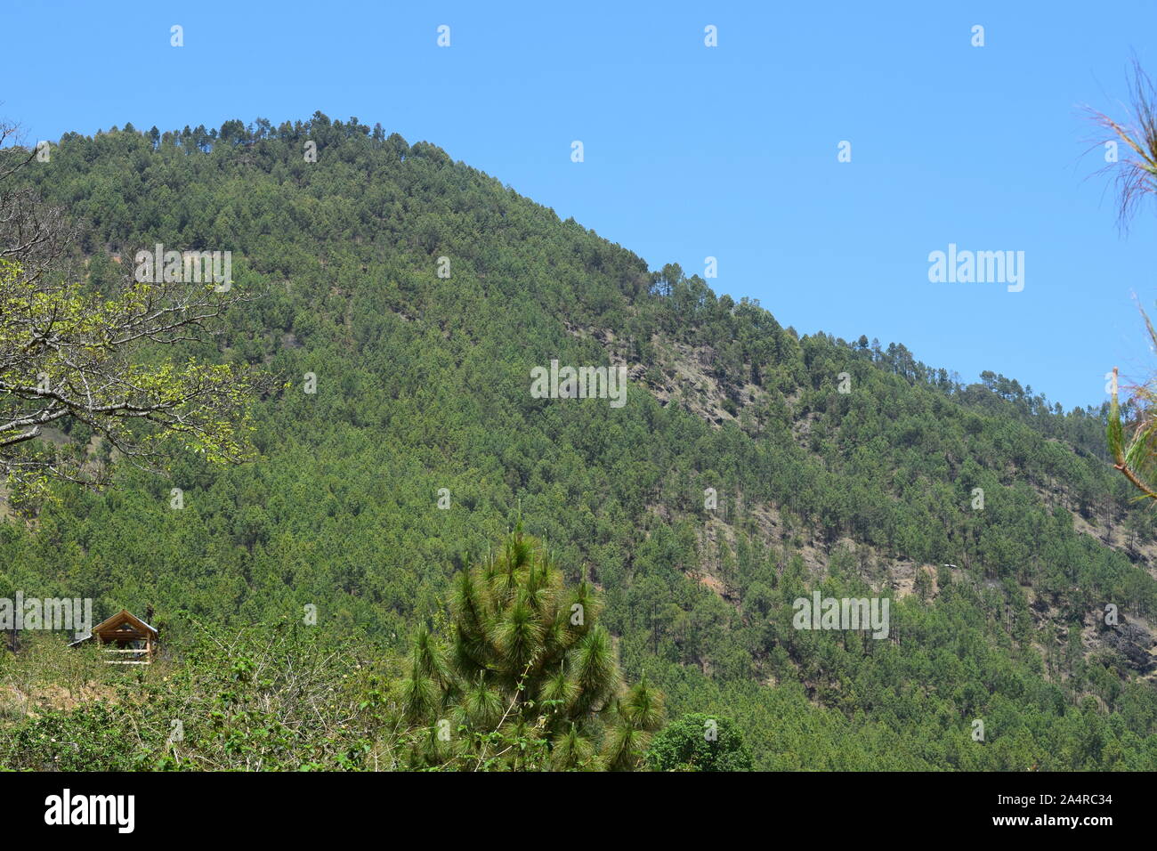 Beautiful landscape in eastern part of Nepal hillside Stock Photo - Alamy